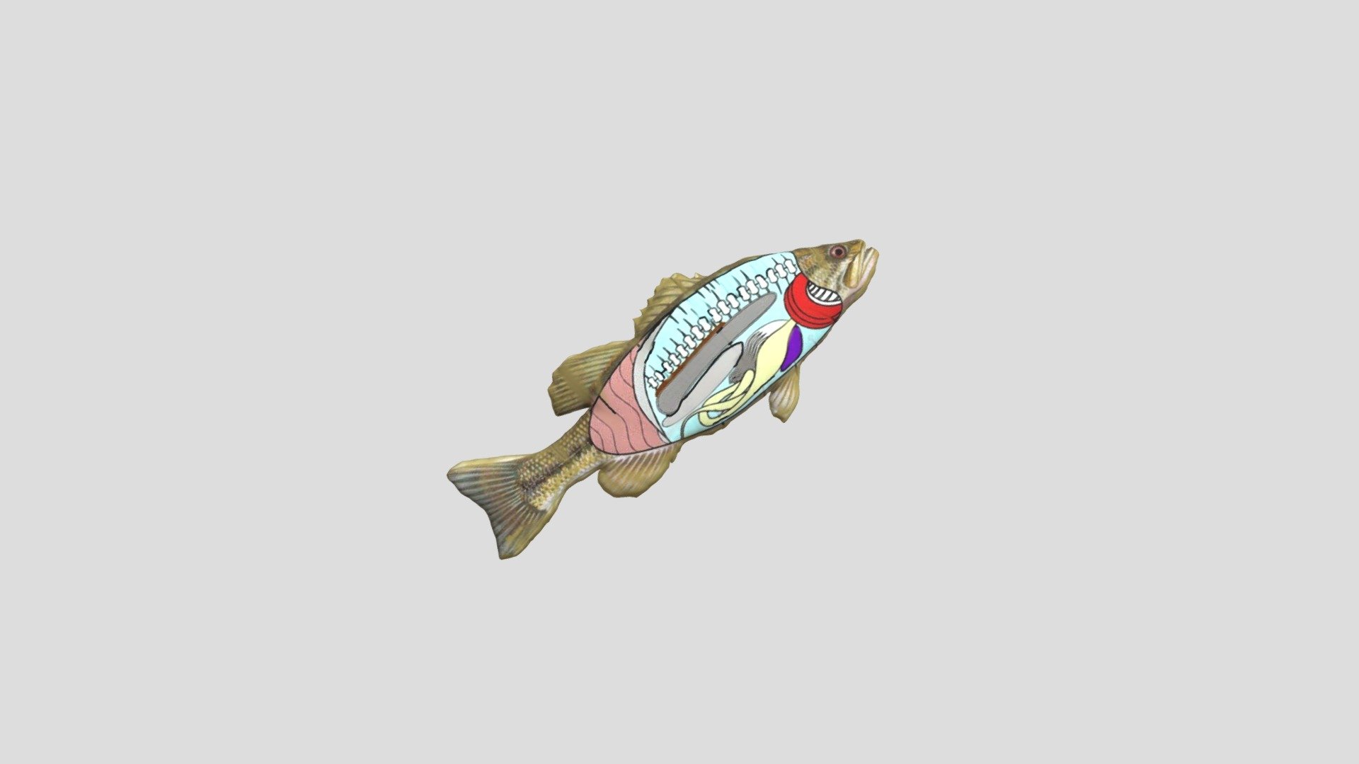 IKAN 3D - 3D model by rezaaa0512 [2e0baf4] - Sketchfab