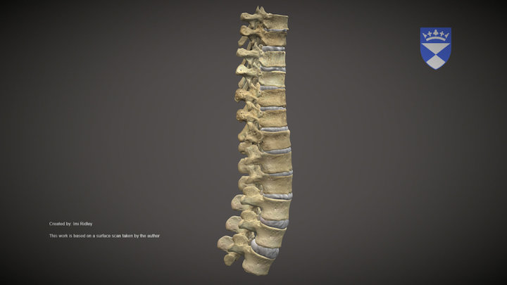 Artex 3D models - Sketchfab