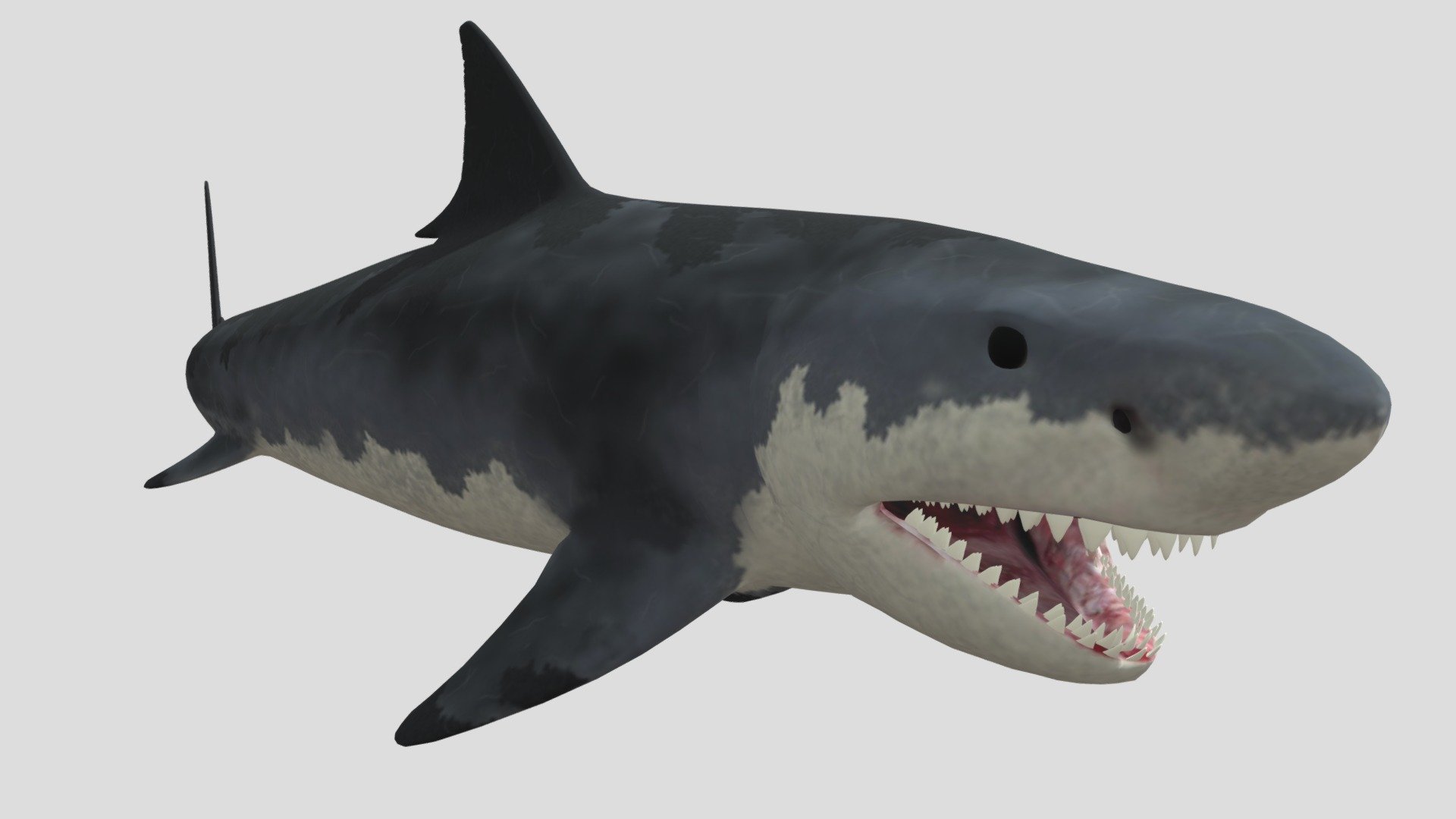 megalodon - Download Free 3D model by seth the yutyrannus ...