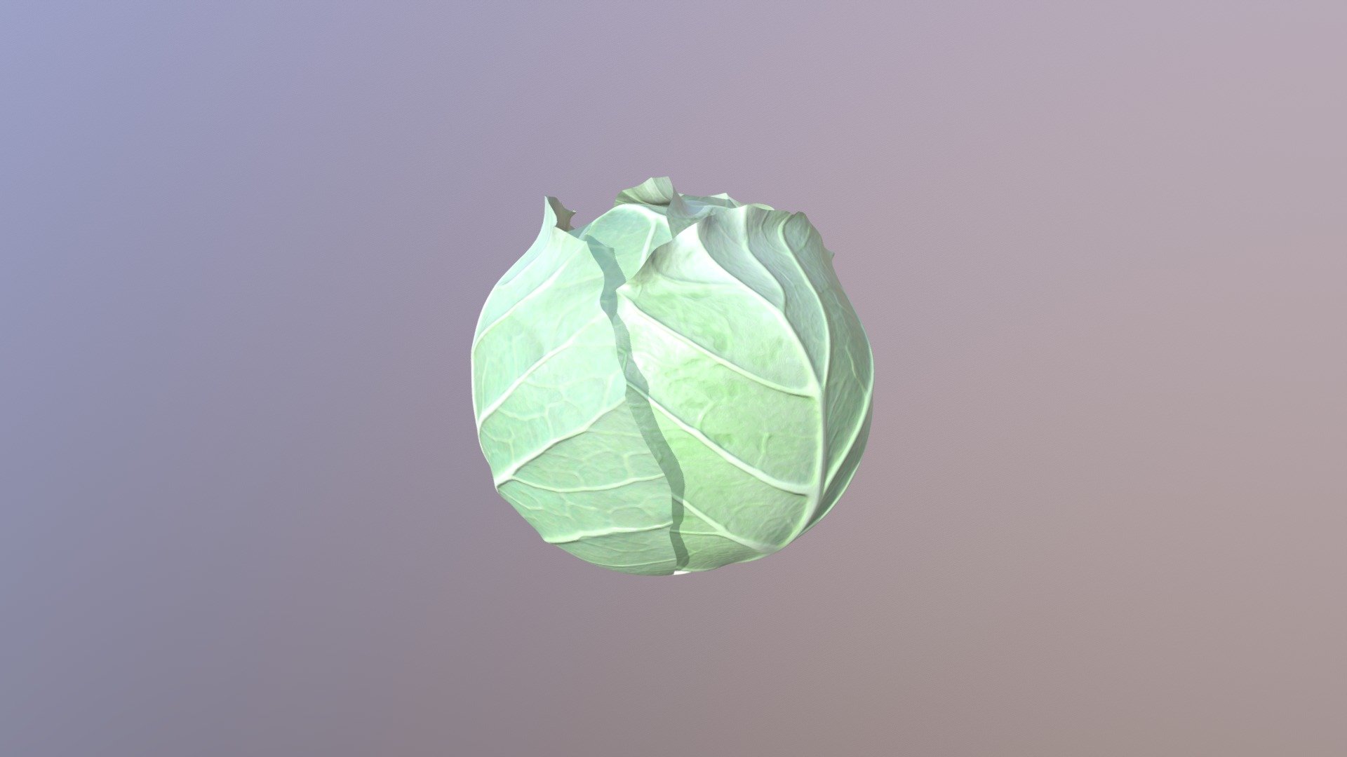 Cabbage - 3D model by Virtual Reality (@simulanis) [2e13932] - Sketchfab