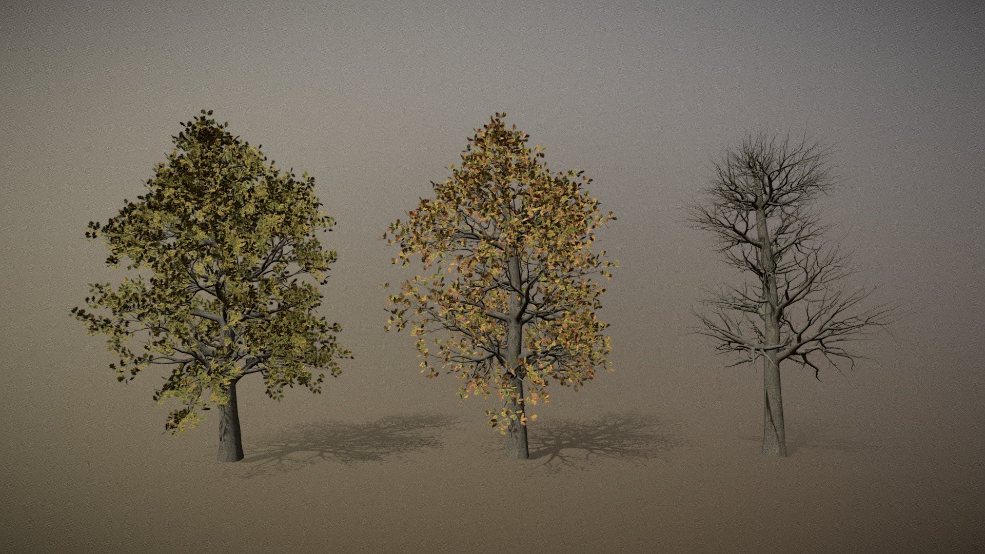 Oak Tree - Download Free 3D model by Cosmic_dust [2e14570] - Sketchfab