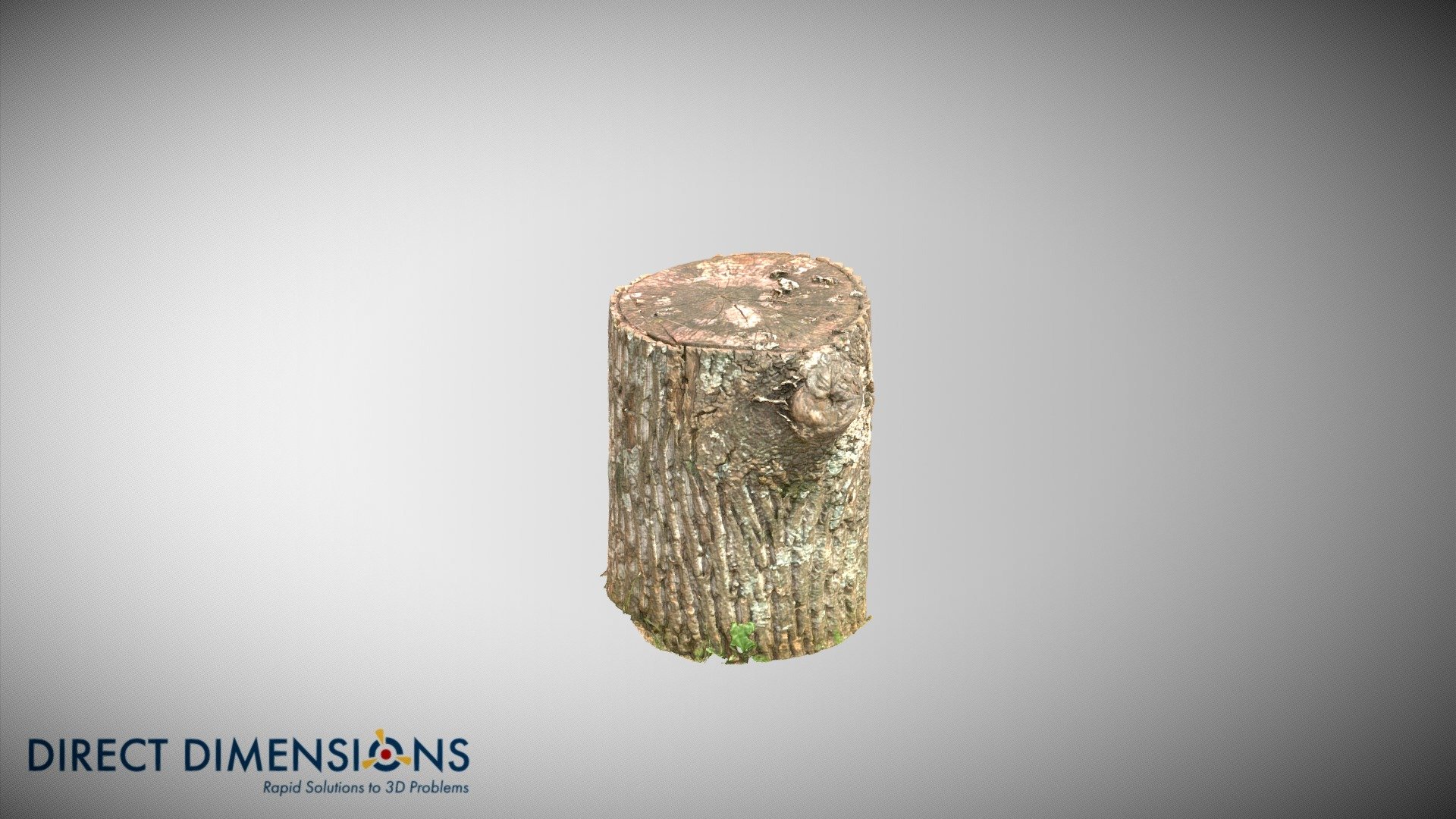 Stump Sample 2 - 3D model by Direct Dimensions (@dirdim) [2e14f68 ...