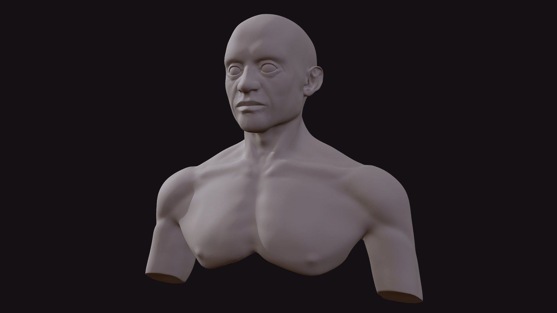 Human Male Bust - 3D model by Annie.Addison [2e25ce8] - Sketchfab