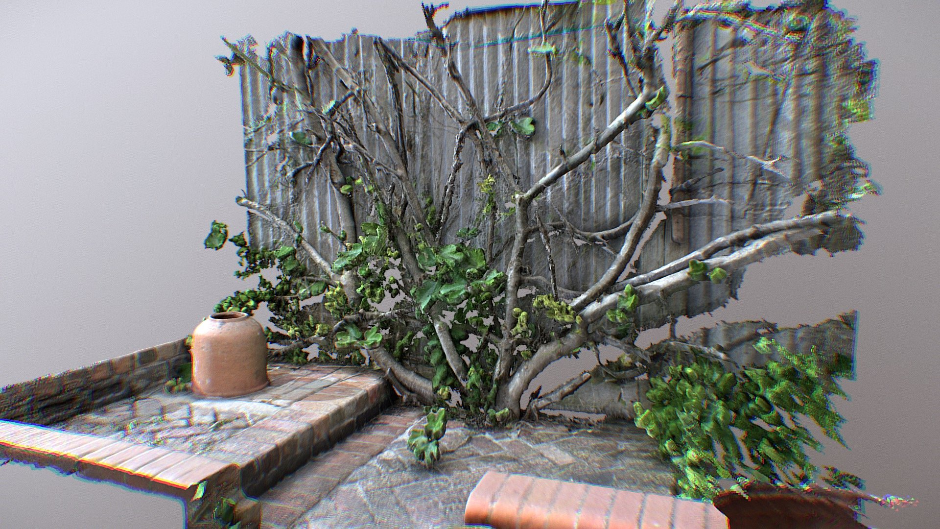 Fig trees - 3D model by Florian Stephens (@florianstephens) [2e2a0c0 ...