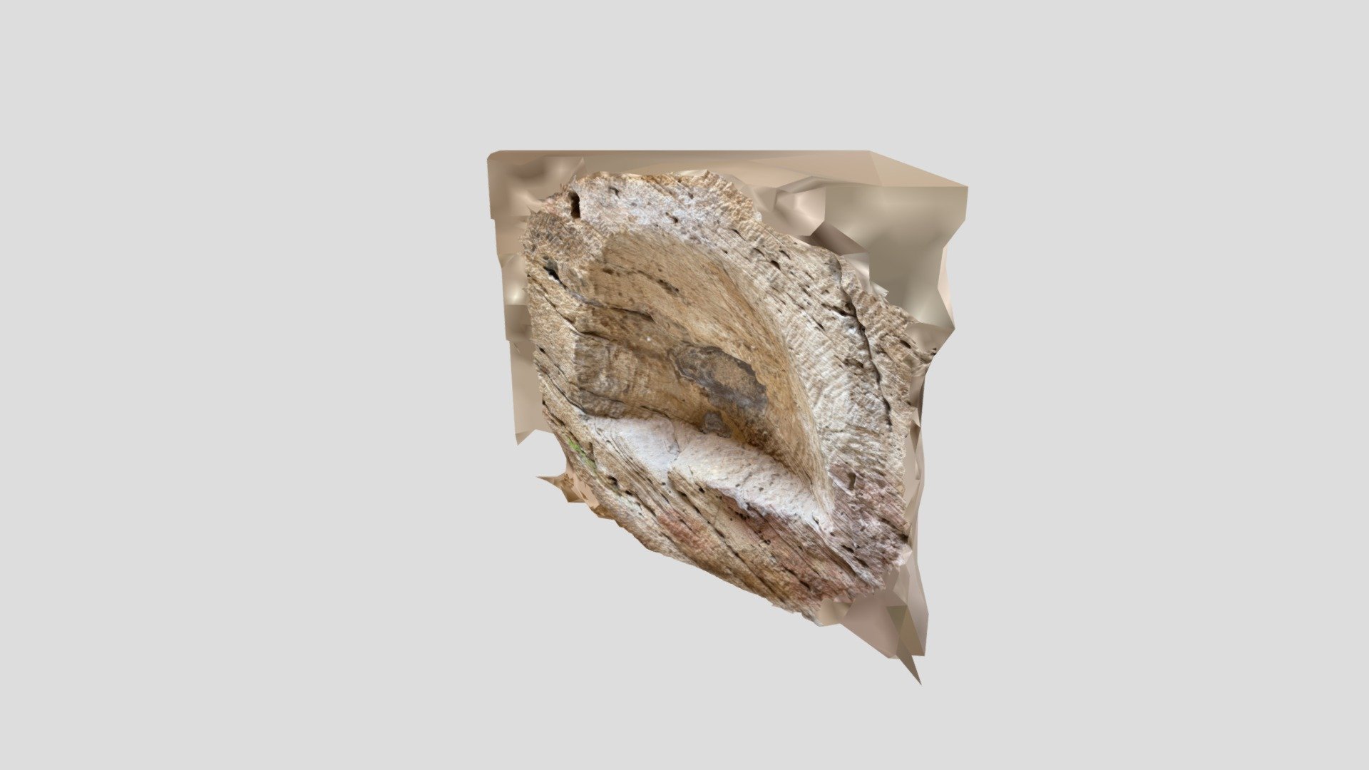 Cavity in wall - Download Free 3D model by philz0323 [2e39cab] - Sketchfab