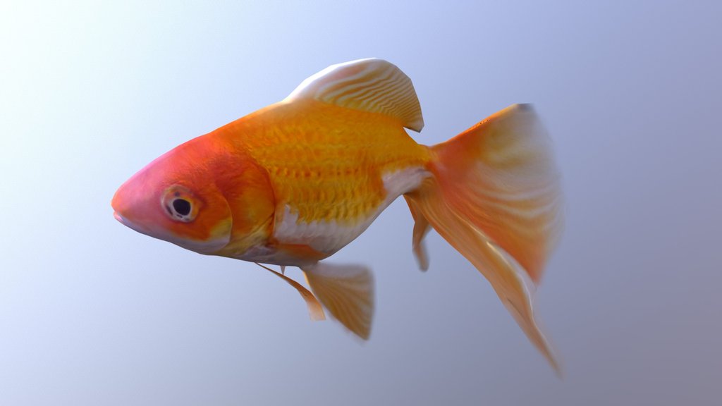 15 Saltwater Fish Models Pack Animal Collection - A 3D model collection ...