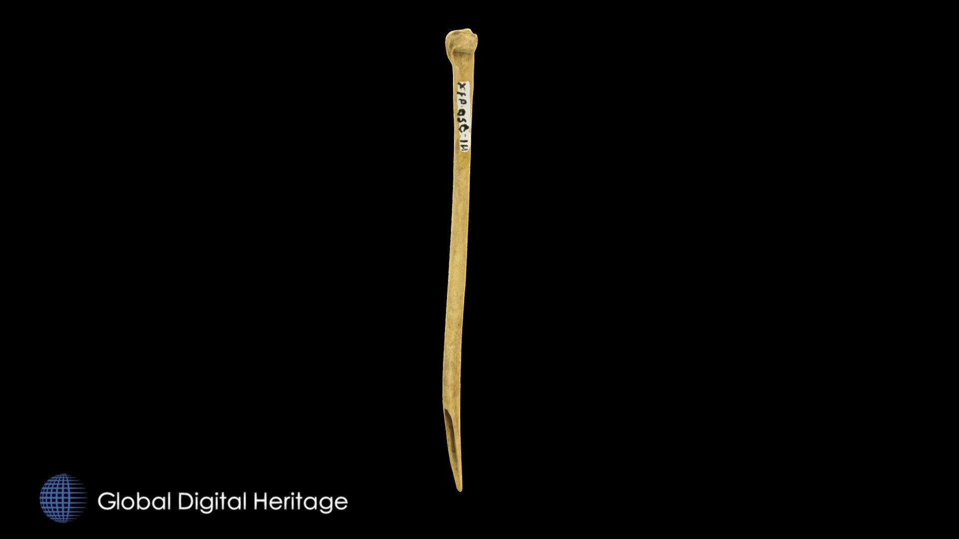 XFP-056 Bird bone awl, Sanak Island, Alaska. - Download Free 3D model ...
