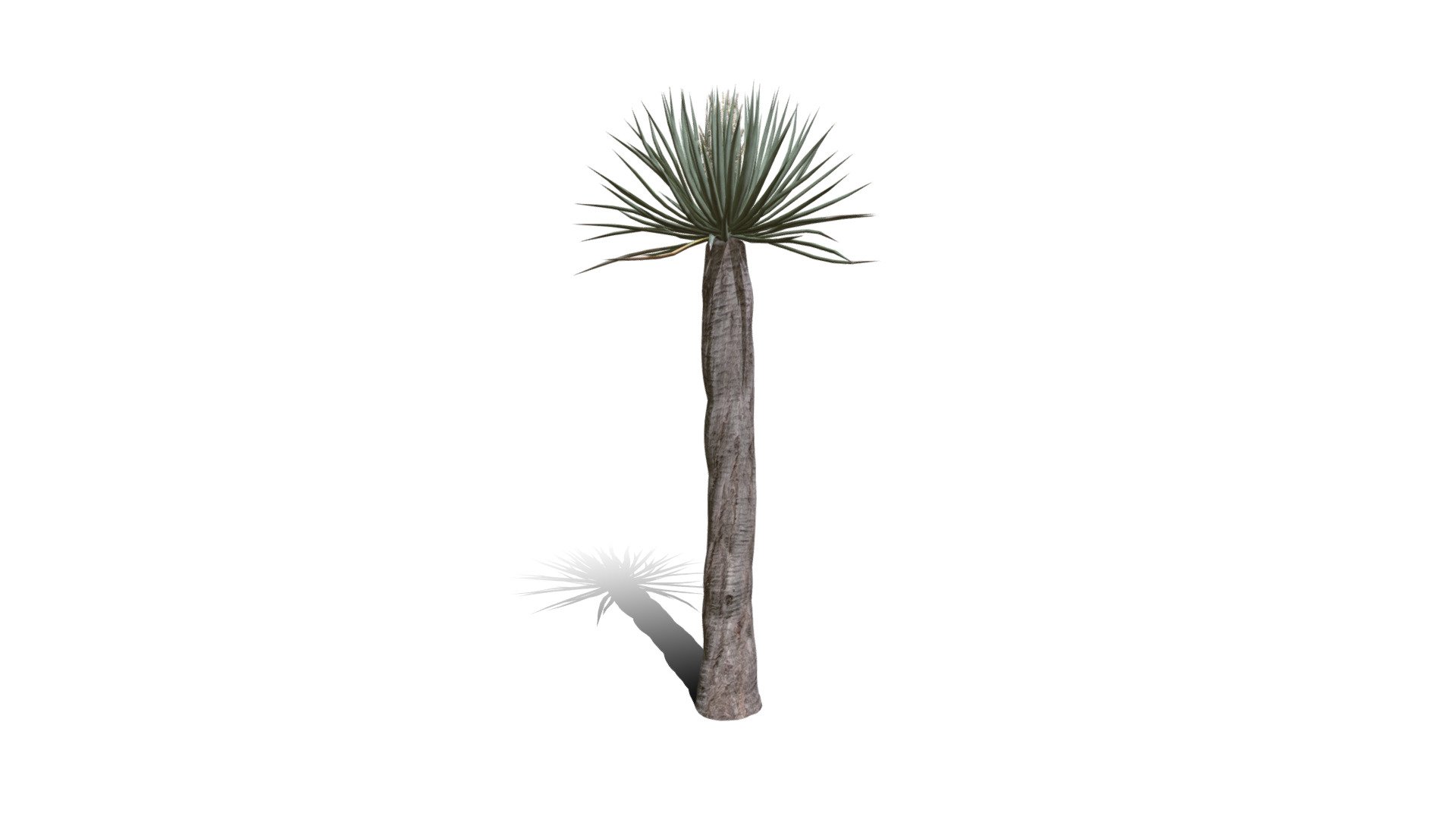Realistic HD Dragon tree (2/50) - Download Free 3D model by ...
