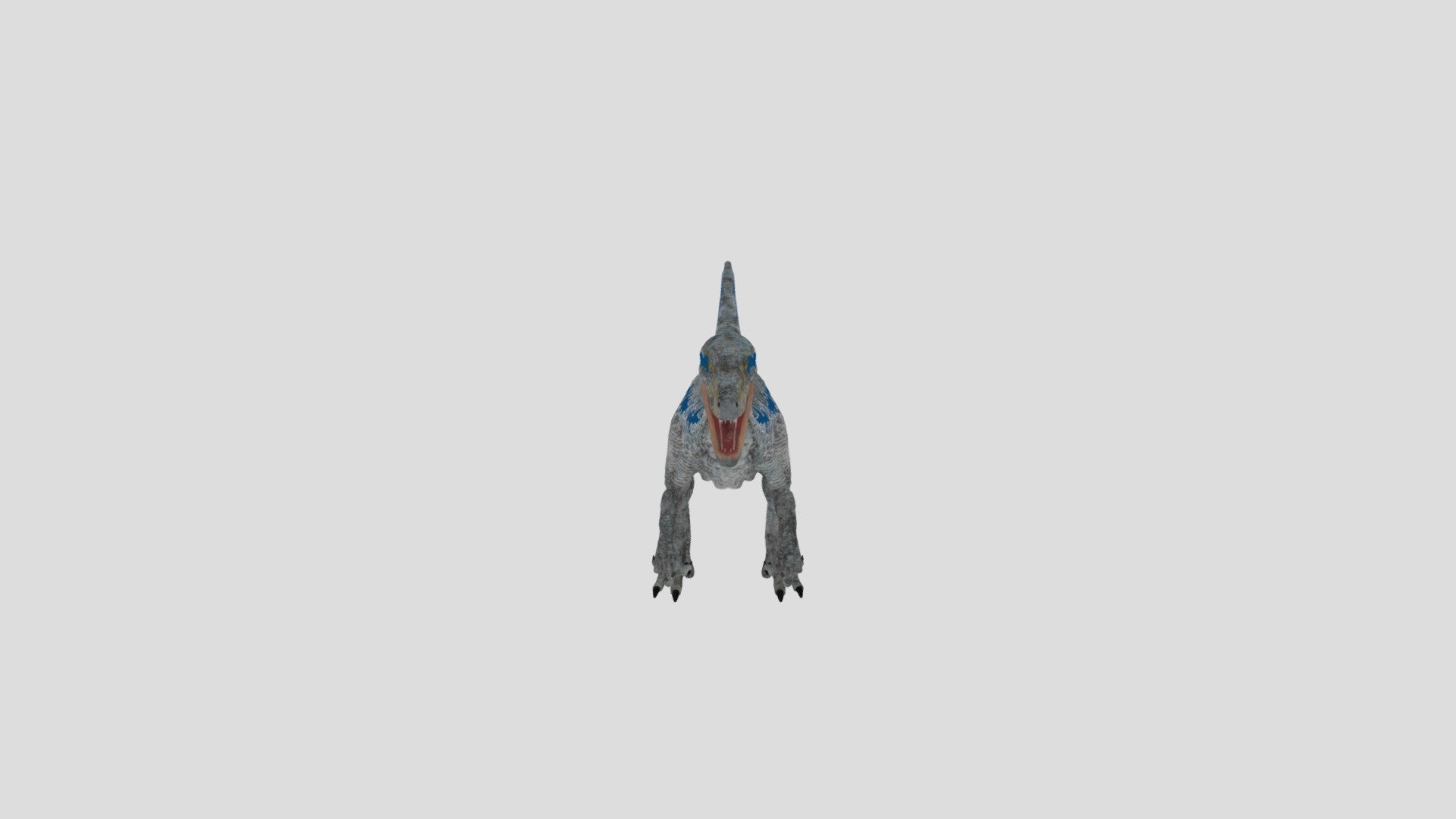 Blue_Velociraptor - 3D model by stu_jbolivarbarabata02 [2e4877d ...