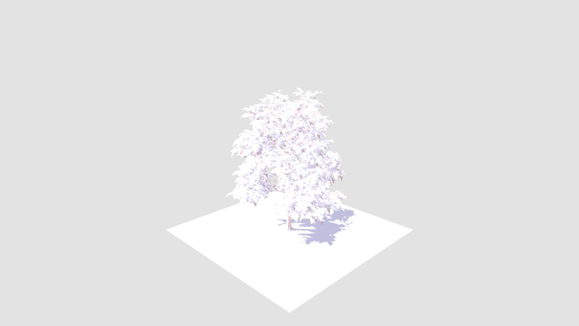Tree for Blender - Buy Royalty Free 3D model by Evermotion [2e4d9fa ...