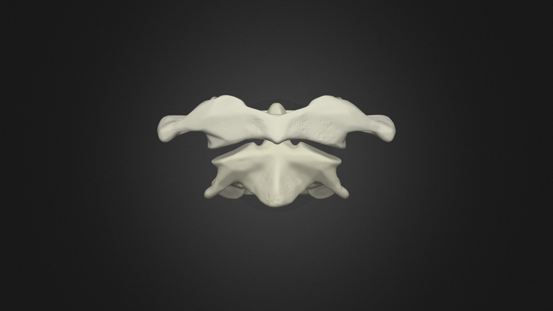 Atlas and Axis - 3D model by CUSM InfoCommons (@CUSM) [2e60c3e] - Sketchfab