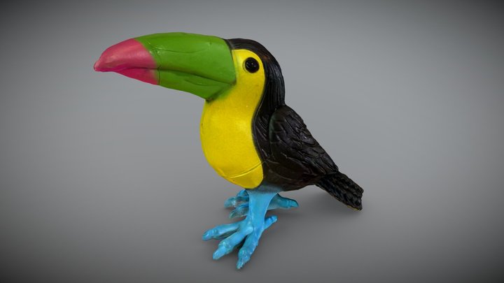 Toucan 3D models - Sketchfab