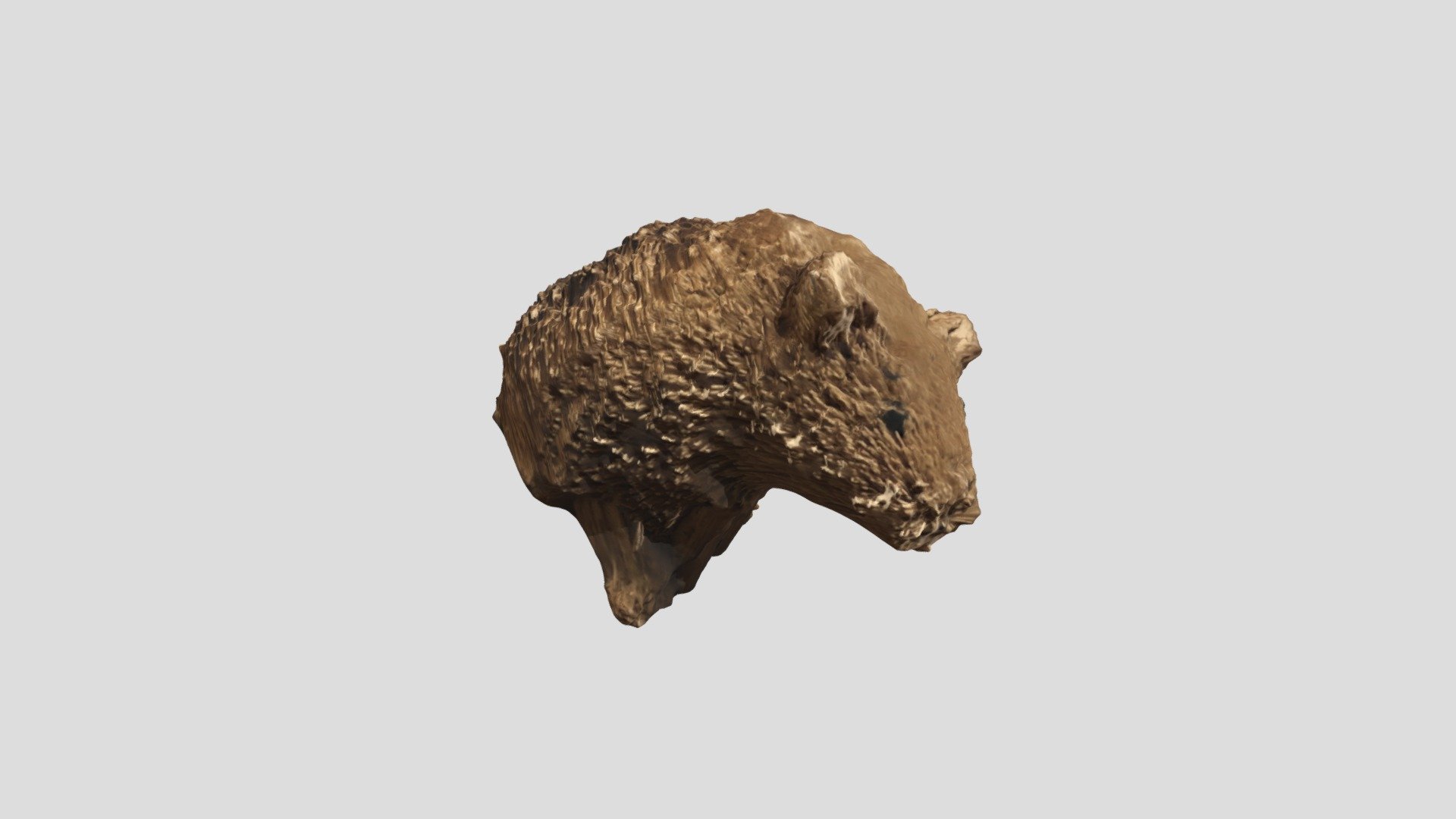 Cuerpo Espín - 3D model by beatrizvial [2e6d1e9] - Sketchfab