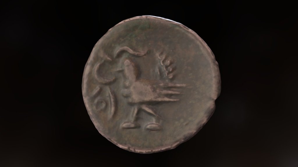Coin Hamsa Bird, Cambodia - 3D model by MetAkas [2e70a06] - Sketchfab