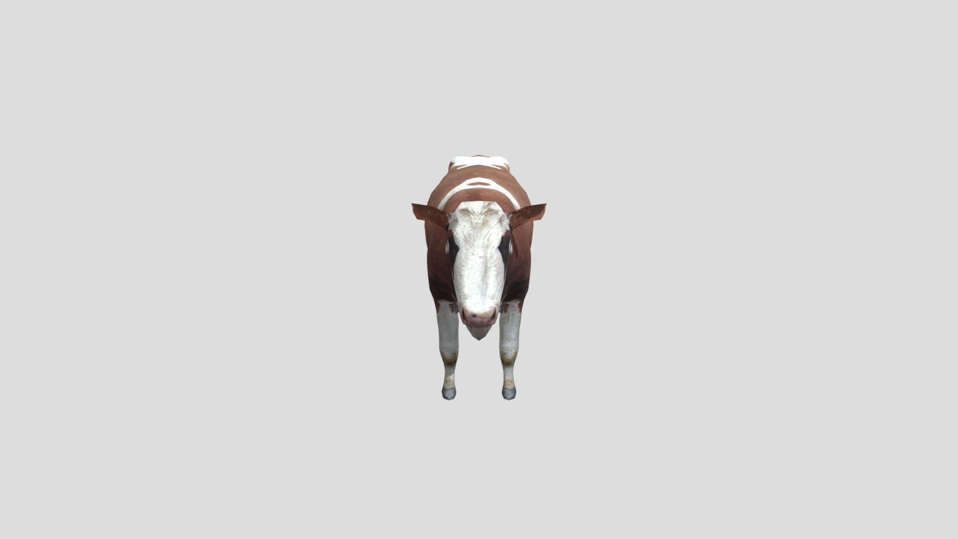 cow - 3D model by Ely23 [2e70eab] - Sketchfab