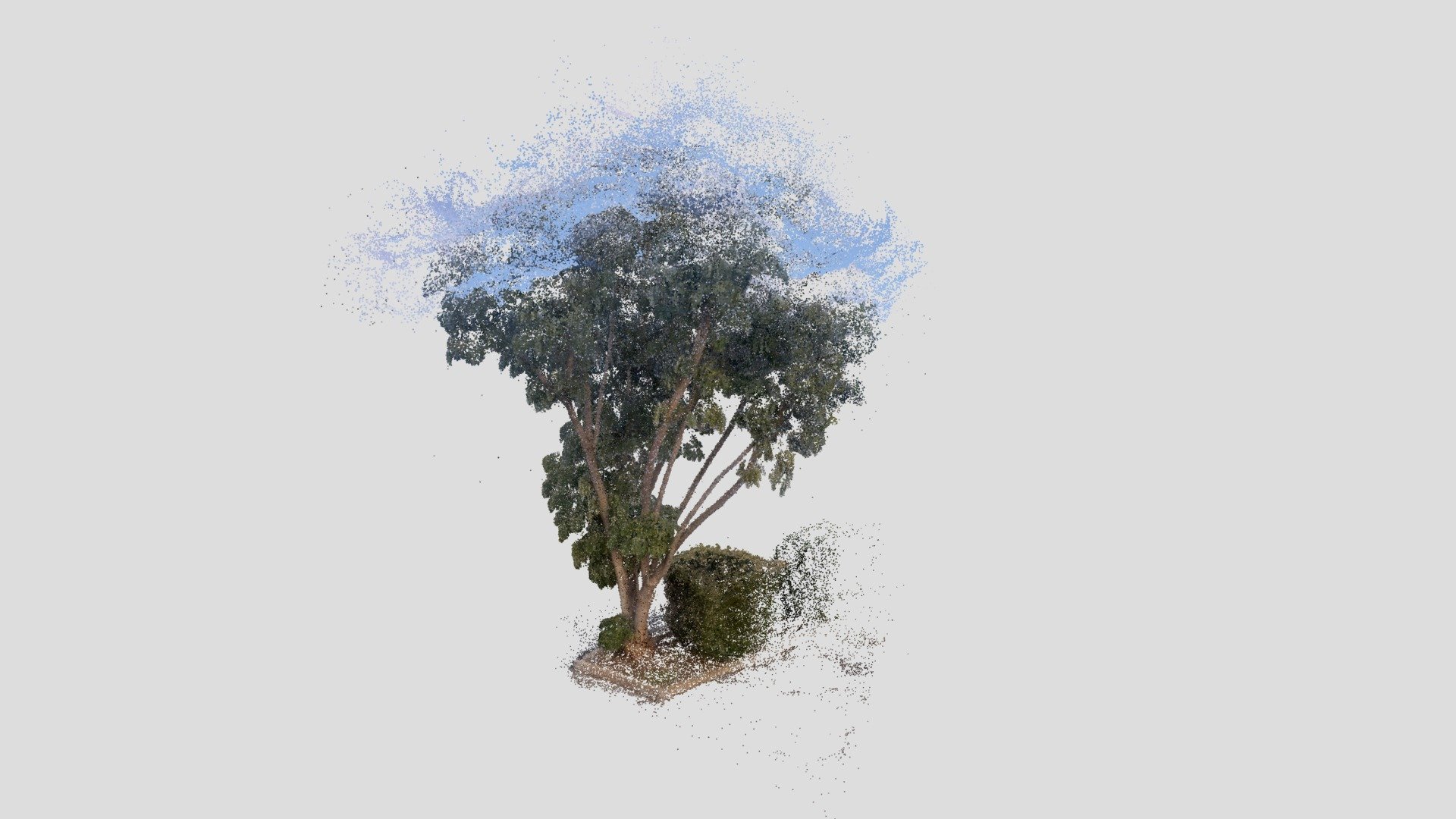 132tree - 3D model by Sasanka Gallage (@sasankag) [2e77c07] - Sketchfab