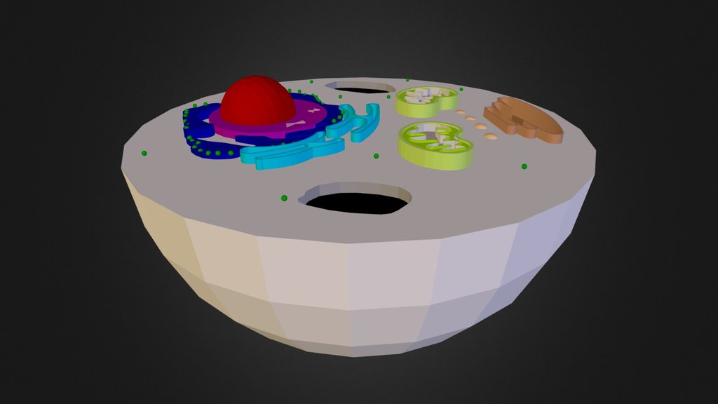 Cells - A 3D model collection by Jessica Patterson (@jessicapatterson ...