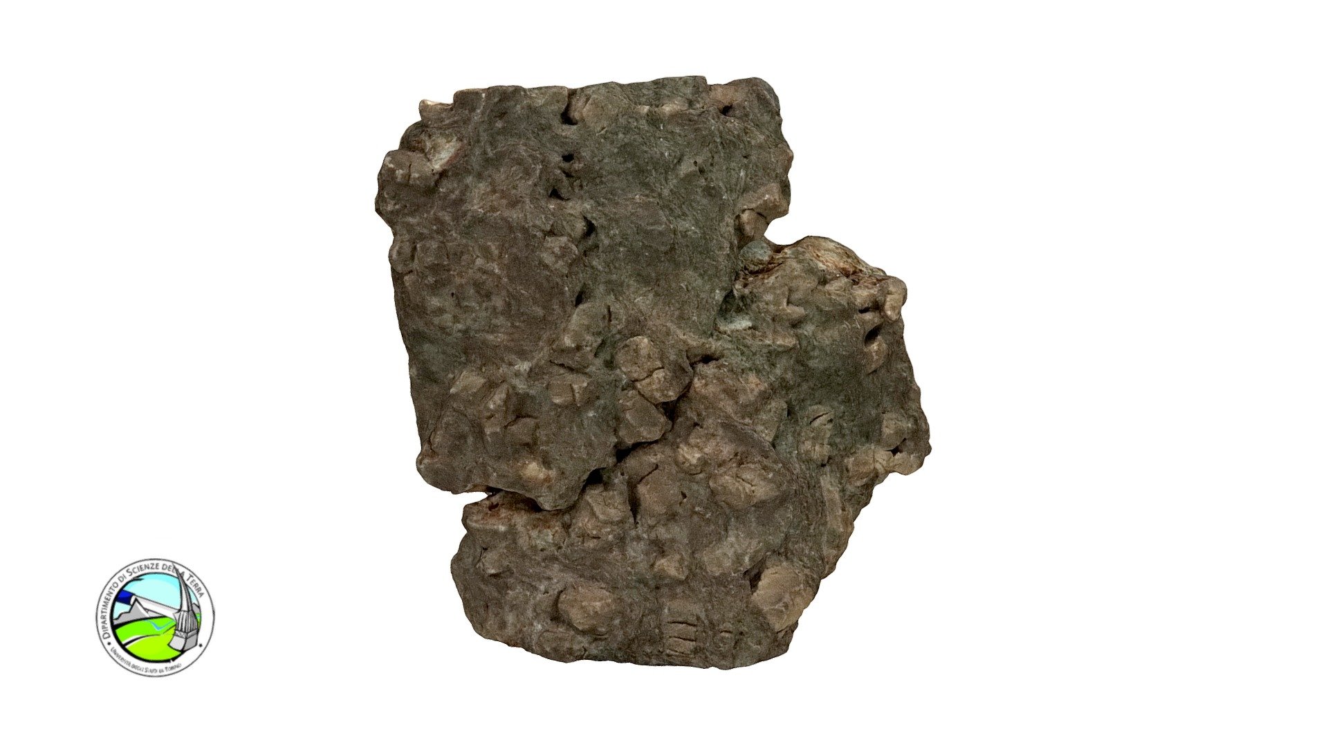 MAP31 - Metabasite a lawsonite - 3D model by Dipartimento di Scienze ...