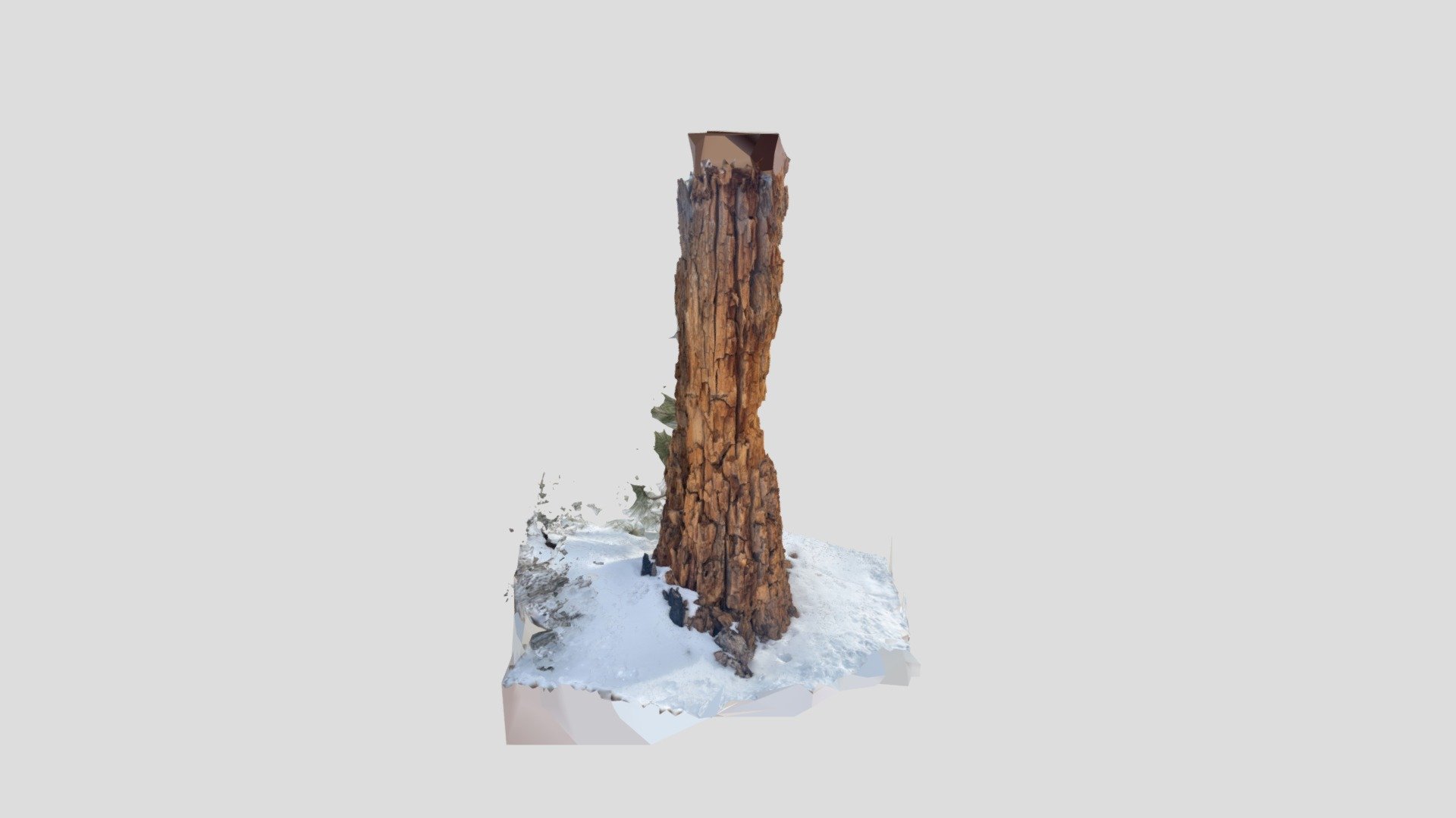 Decaying tree - Download Free 3D model by garagestudios [2e8af7e ...