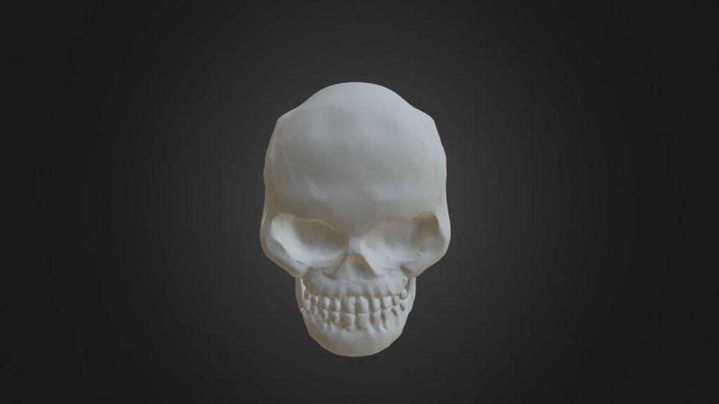 Skull - 3D model by 1002467 [2e8ef35] - Sketchfab