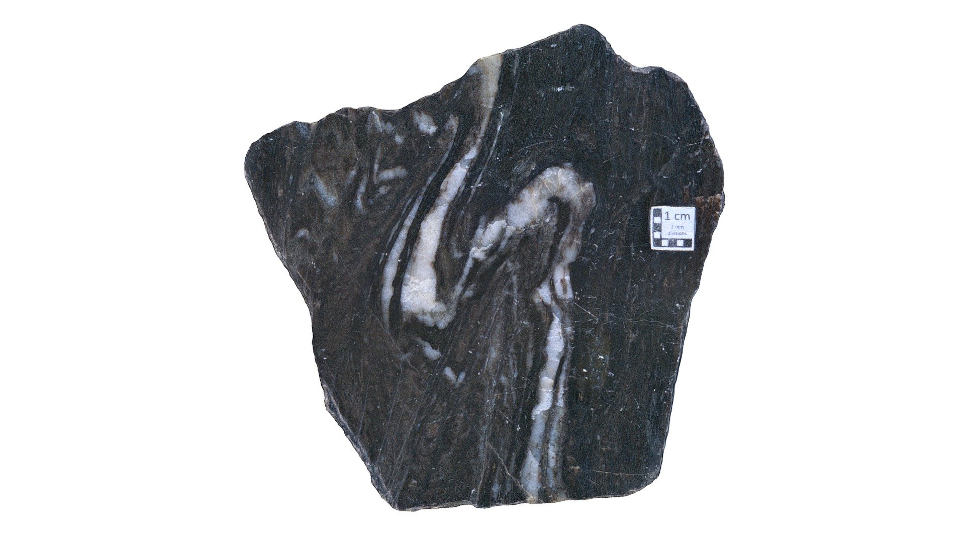 UTas_KEA716_KEA716_21 - 3D model by AusGeol.org (@AusGeol) [2e980d0 ...