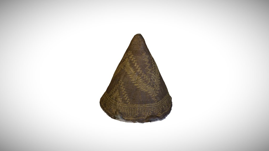 Burden basket / CAS 0516-0013 - 3D model by California Academy of ...