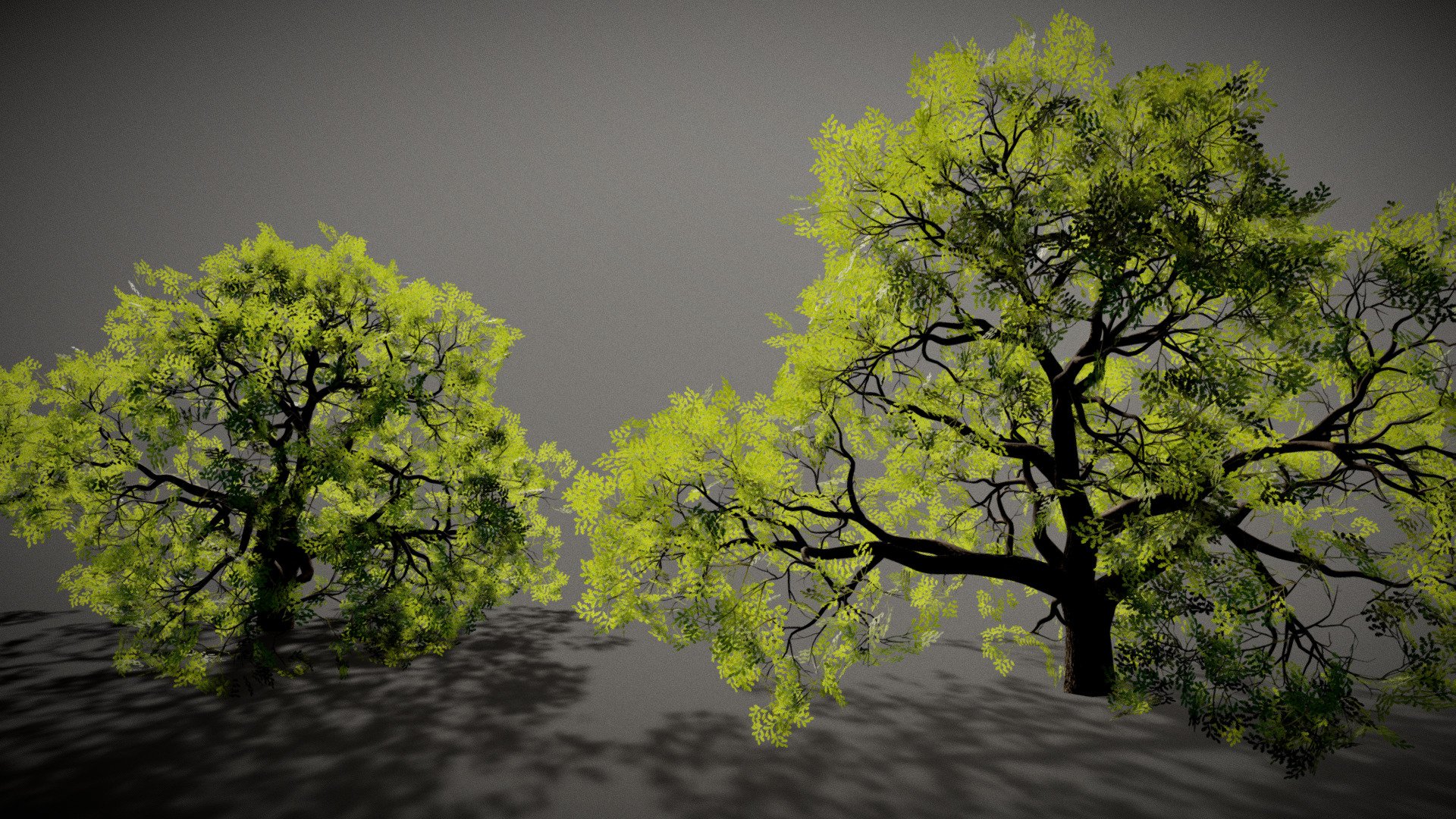 Mighty Oak Trees 2 - Buy Royalty Free 3D model by Jagobo [2e9e4ca ...