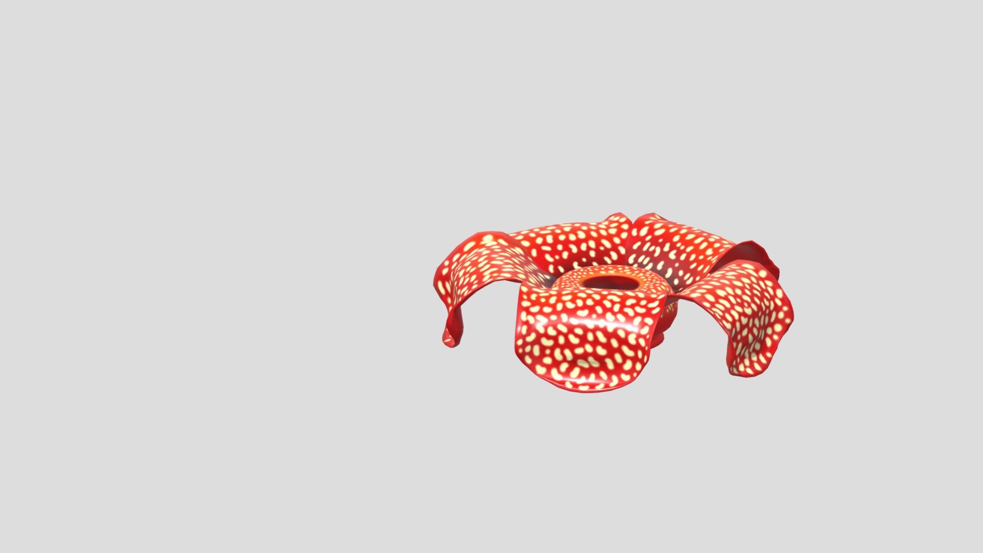 rafflesia_final - Download Free 3D model by ayukartikadaulay279 ...
