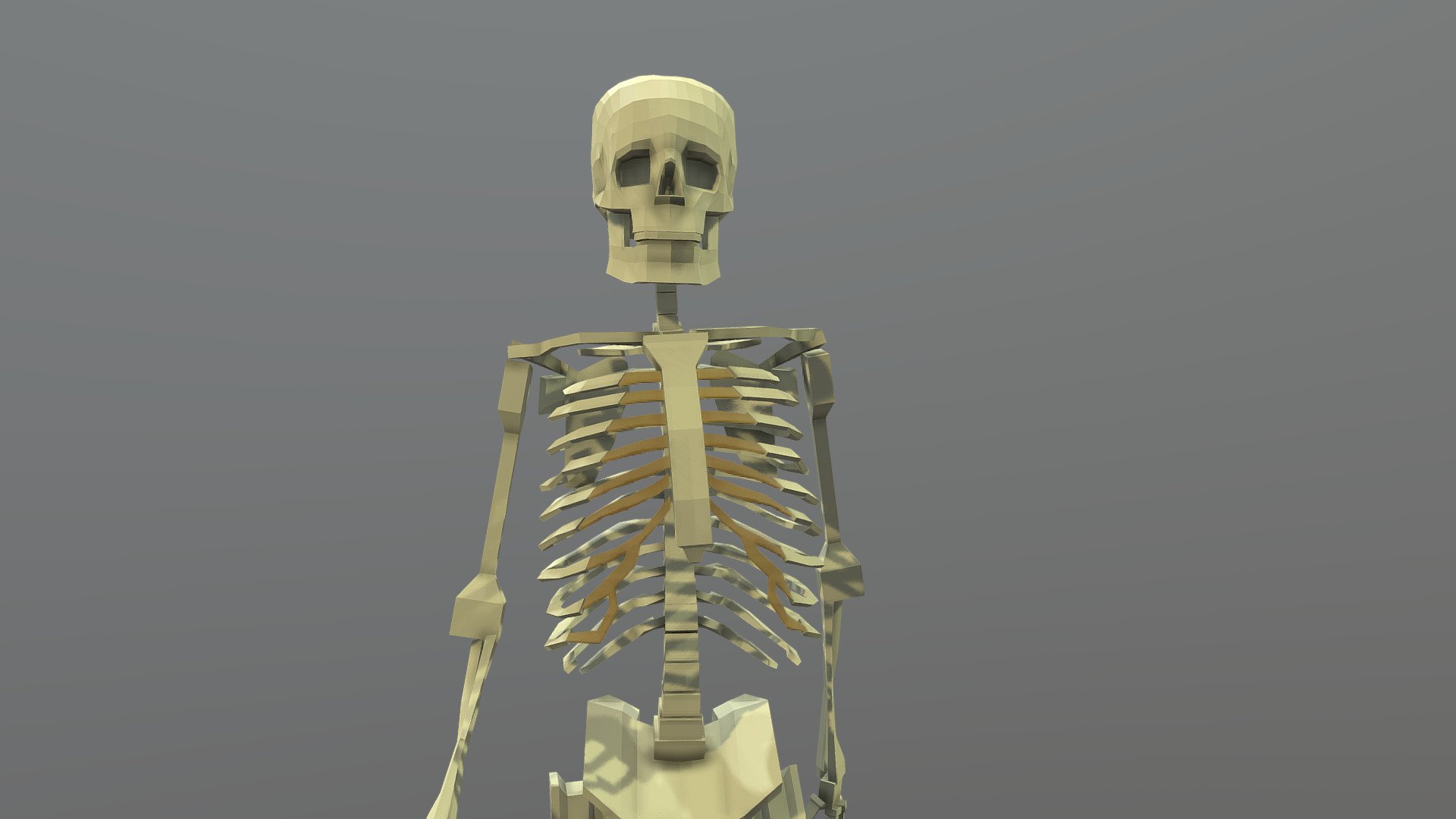 SKELETON -anatomy based low poly skeleton- - 3D model by ...