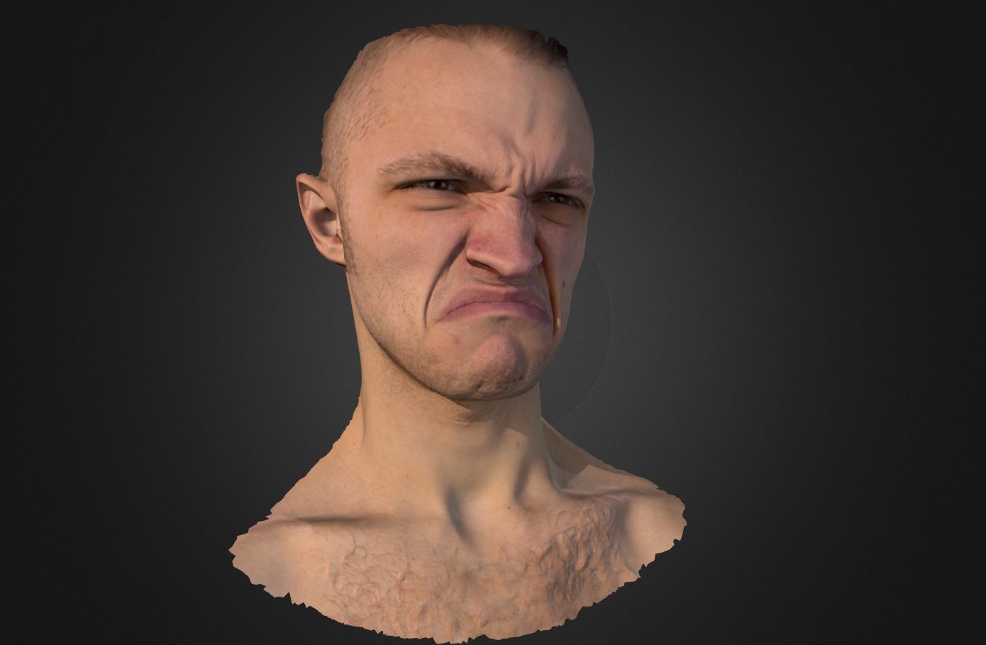Noah Disgust 1 - 3D model by Anatomy Next (@a4s) [2ebcf83] - Sketchfab