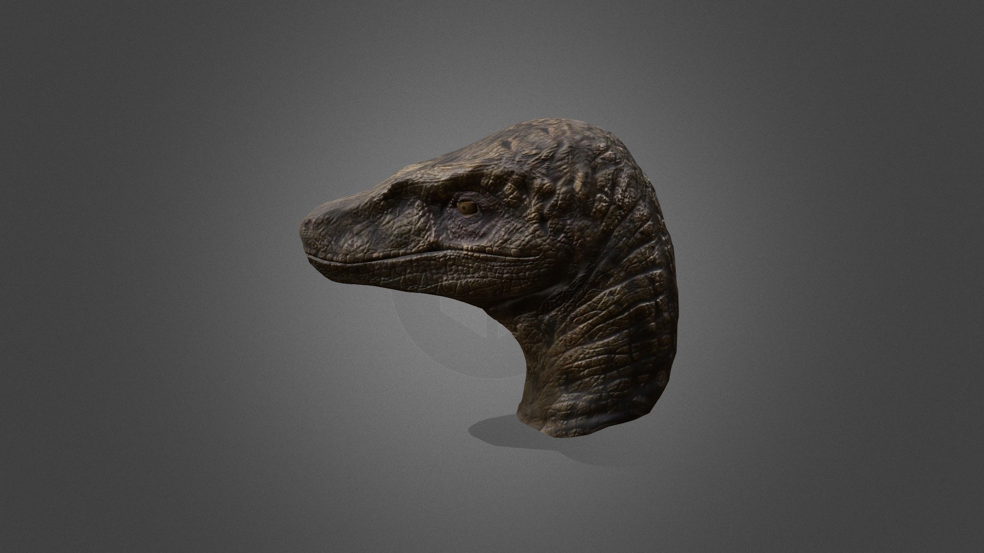 Raptor Head - 3D model by EthanJobson [2ebdb2e] - Sketchfab