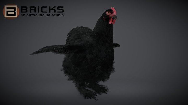 Poulecochin3dmodel 3D models - Sketchfab