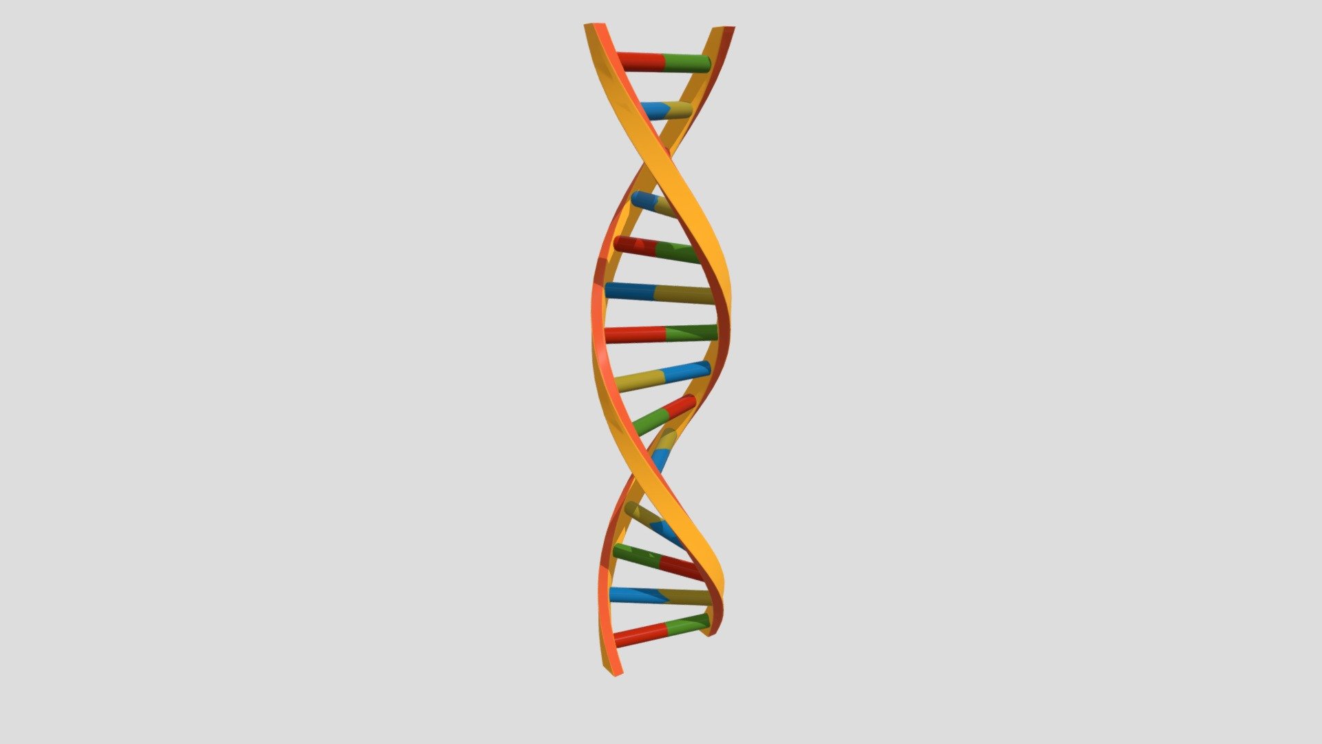 DNA - 3D model by driska.arnanto [2ebfcaa] - Sketchfab