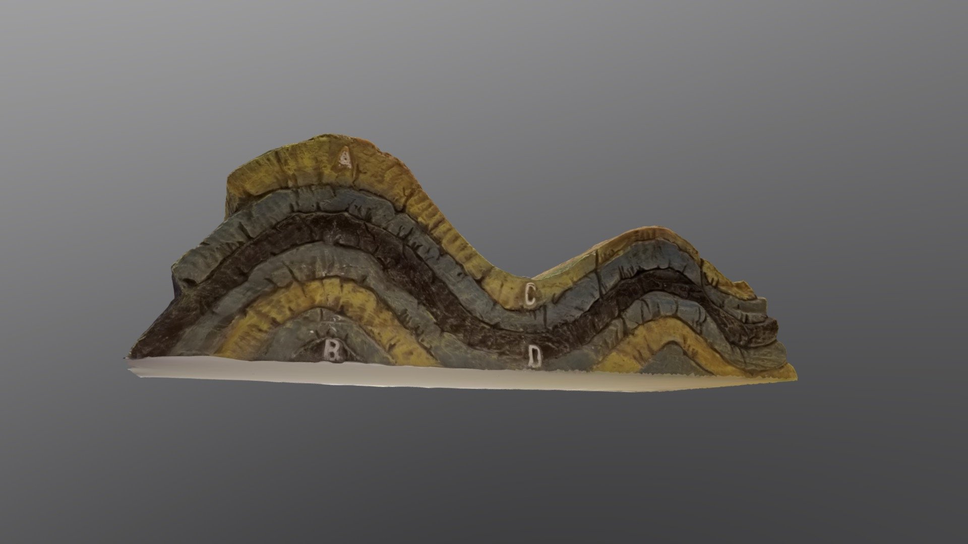 GEOL 101 - Fold Model - 3D model by UTK-EPS [2ec24f3] - Sketchfab