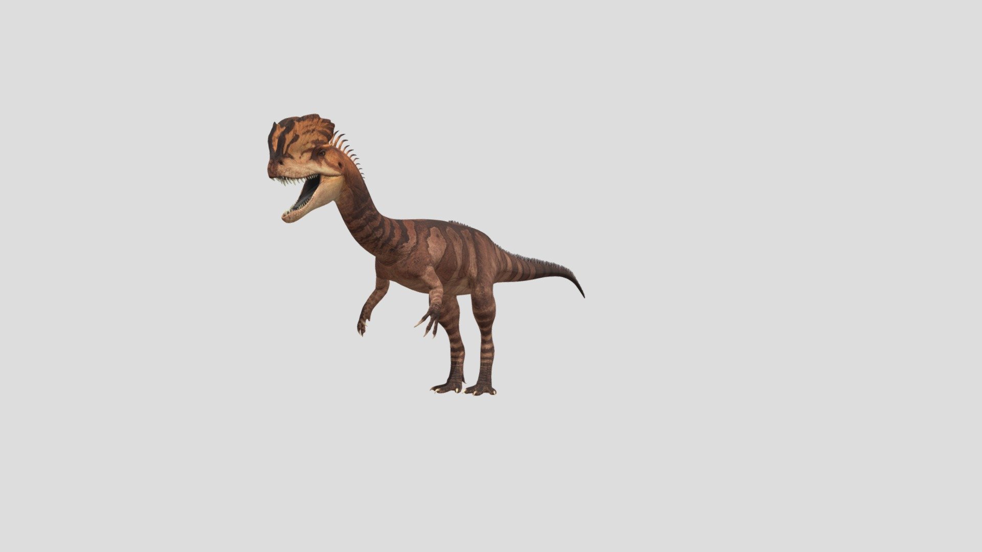 dilophosaurus rigged - Download Free 3D model by Hhhhhh66 [2ee4f87 ...