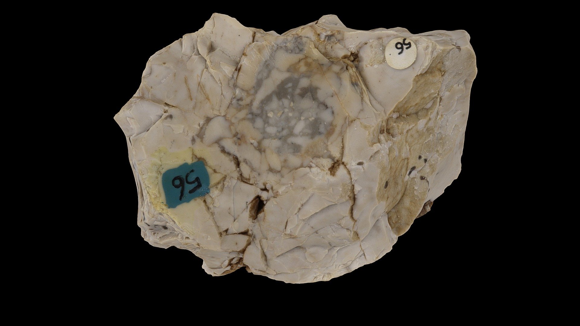 Chert Sample #56 4-29-2020 - Download Free 3D model by rocksandminerals ...