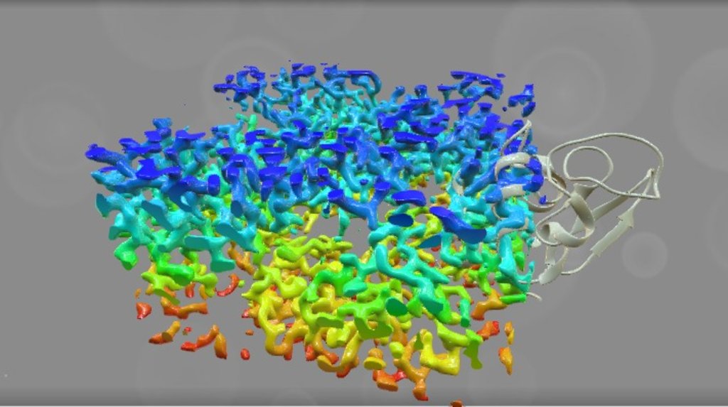 2.5Å structure of lysozyme solved by MicroED - 3D model by Interactive 3D Data ...