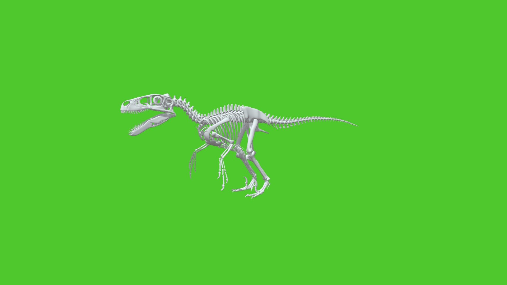 utahraptor_skeleton - Download Free 3D model by tech.service.allwe ...