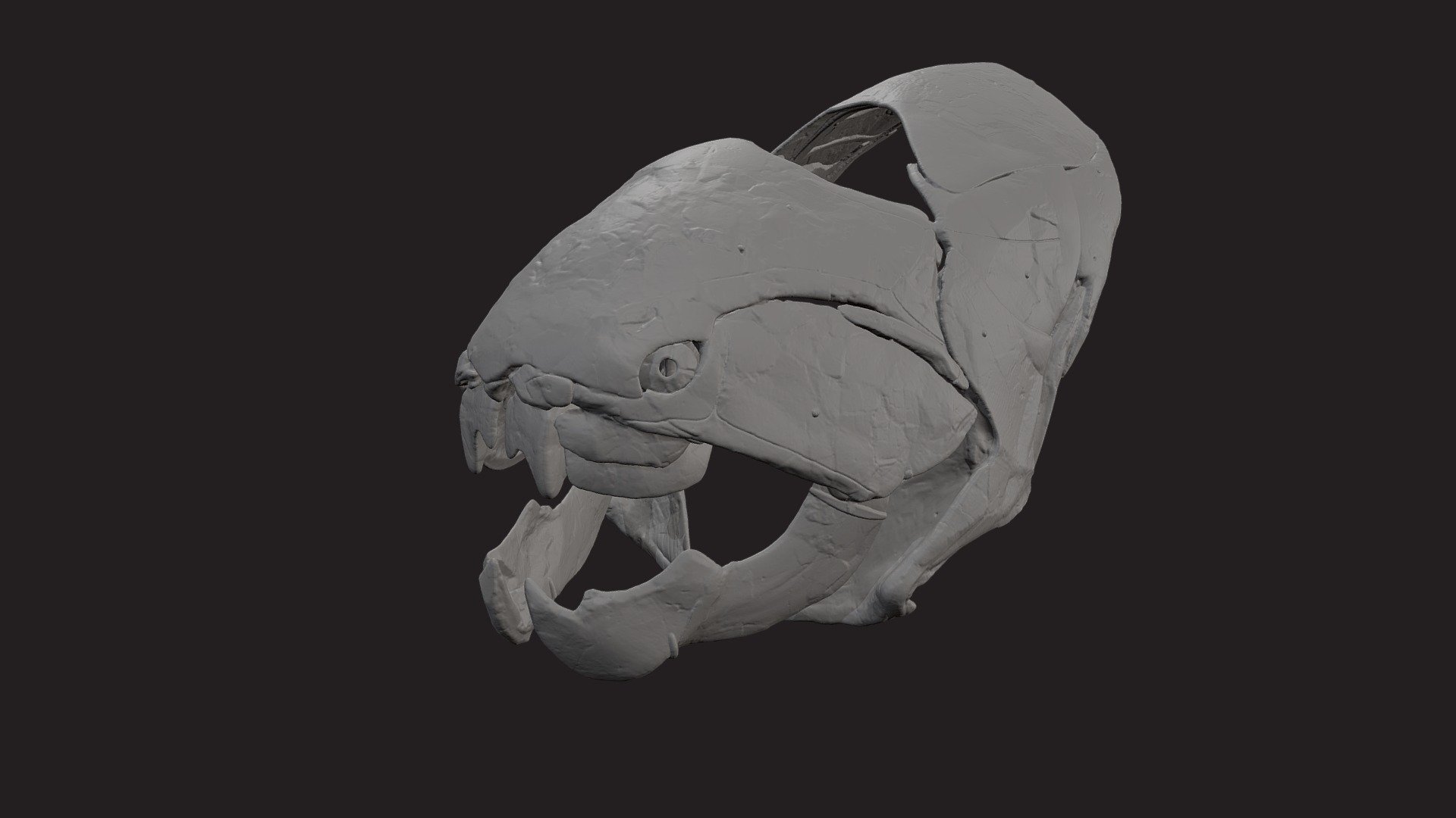 CMNH 6090, Dunkleosteus terrelli, 1:6 scale - 3D model by Cleveland ...
