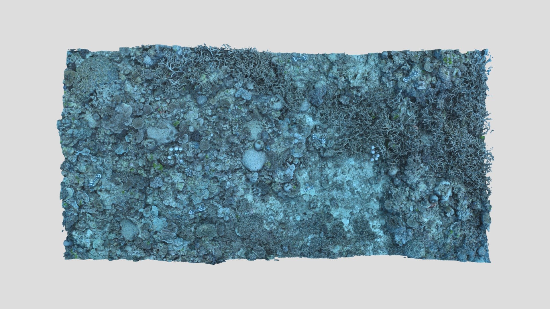 Heron_FR2D_P1_202305 - Download Free 3D model by EcoRRAP (@AIMSEcoRRAP ...