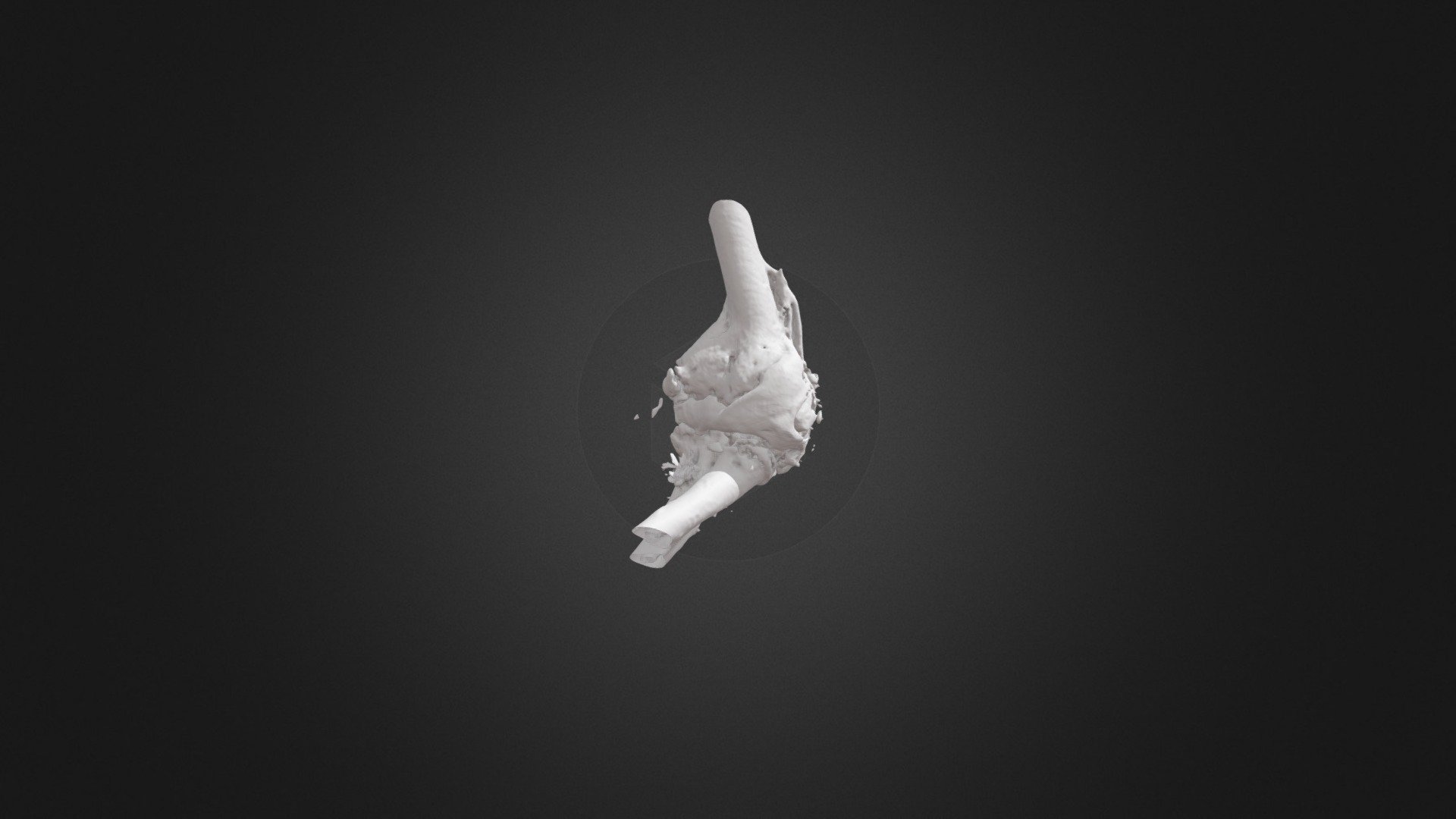 Challenging elbow - 3D model by Rod Py (@rodrigopy) [2f08217] - Sketchfab