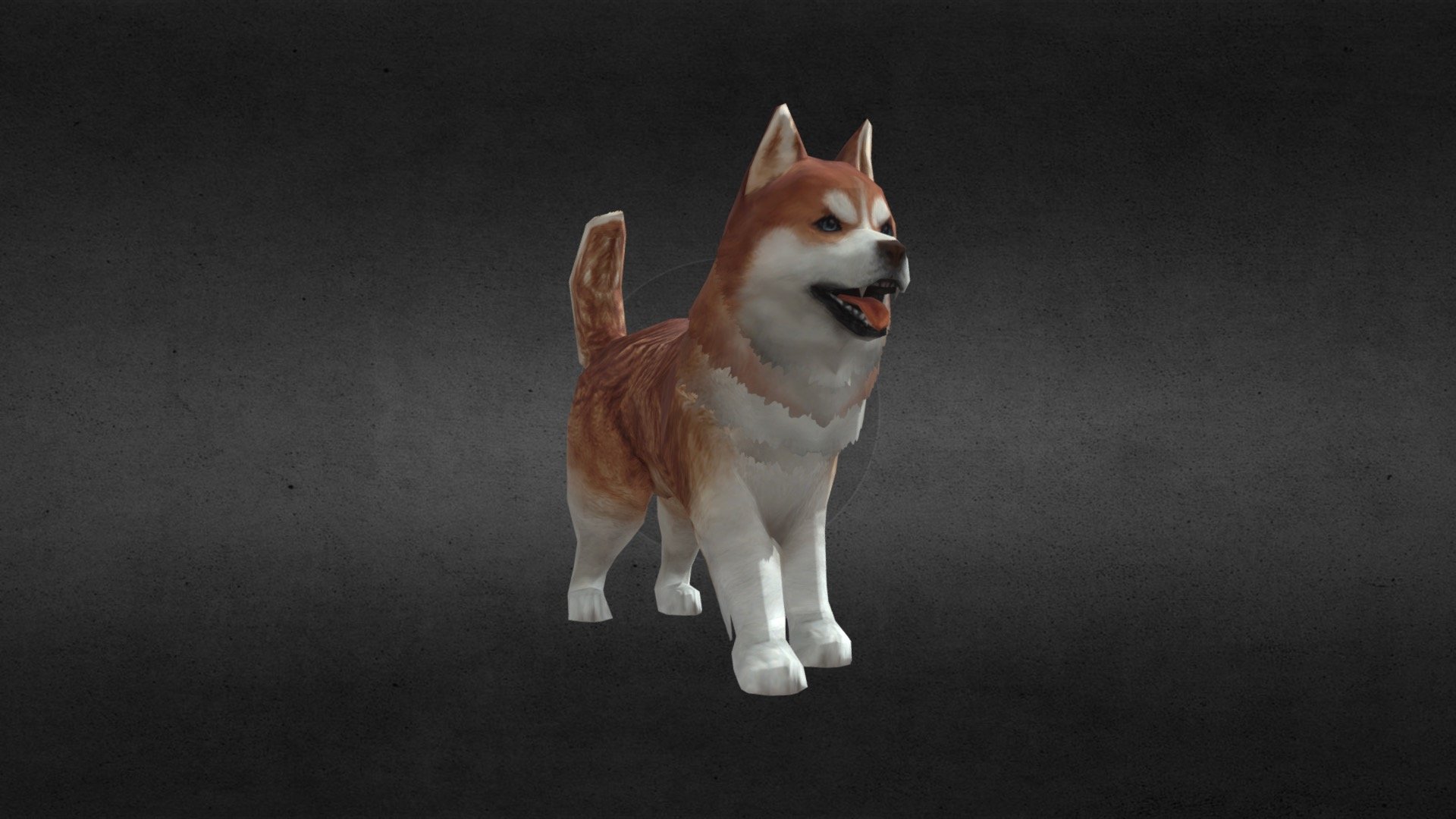 Husky - 3D model by DWN (@dwn76) [2f0cc7a] - Sketchfab