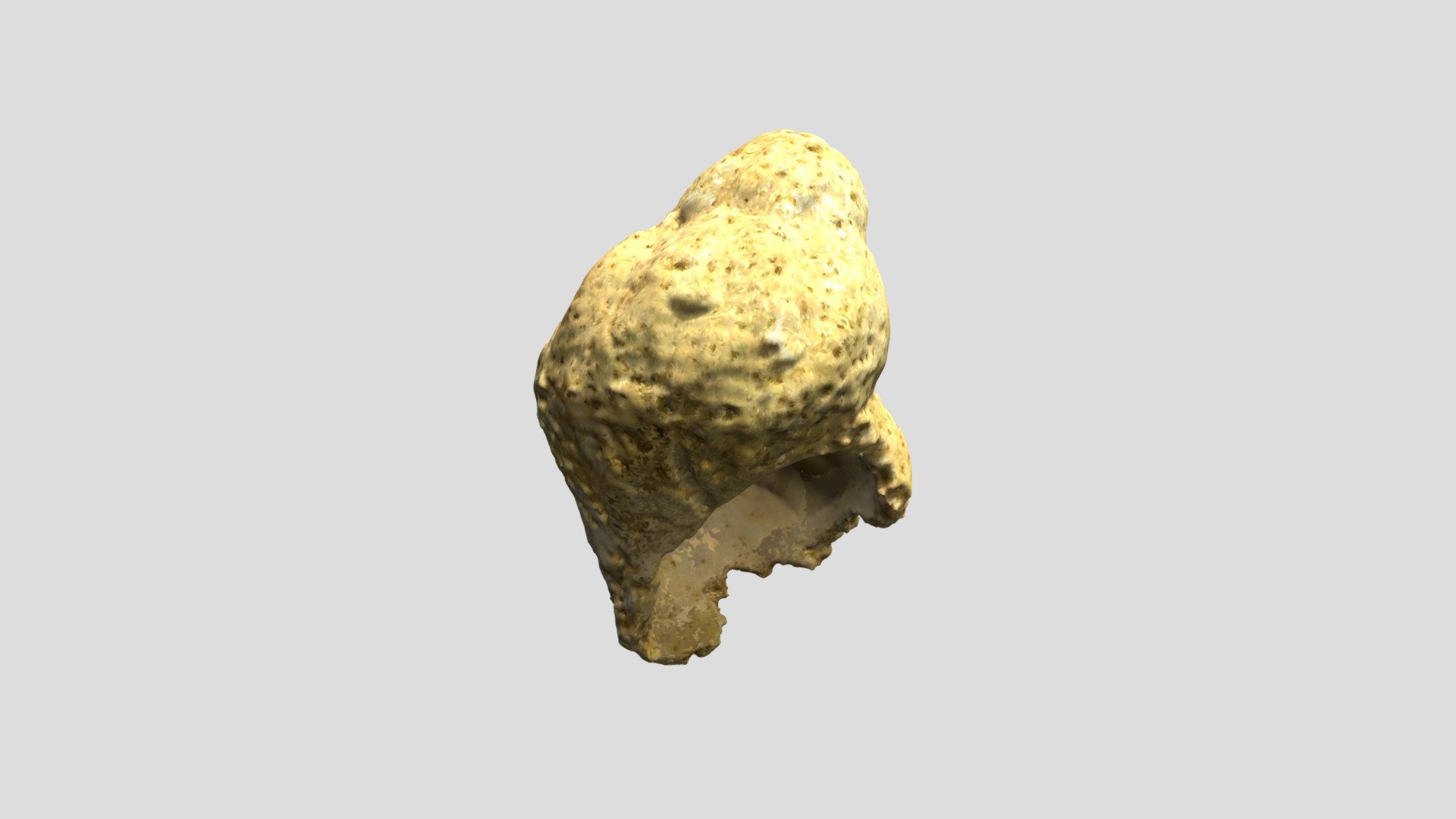 Fossil Shell (VCU_3D_5312) - Download Free 3D model by Virtual Curation Lab (@virtualcurationlab ...