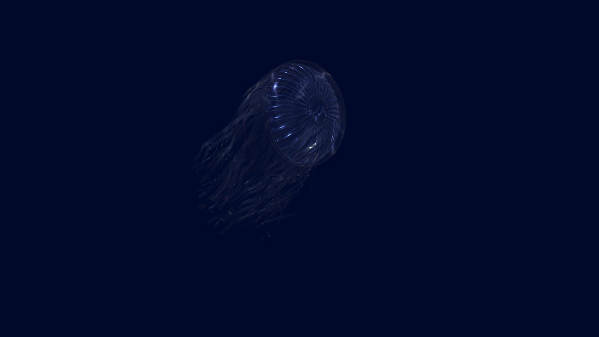 crystal-jellyfish-leptomedusae - 3D model by usoffice2.azure [2f15be5 ...