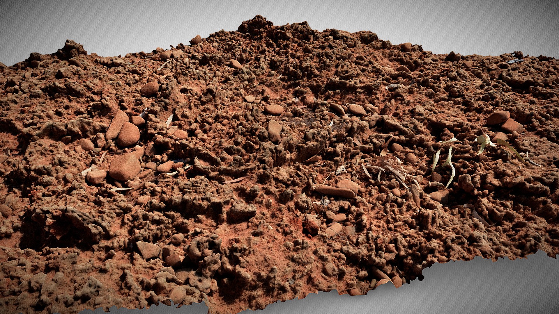 Mangrove root fossils (rhizoconcretions) - 3D model by UQ School of ...