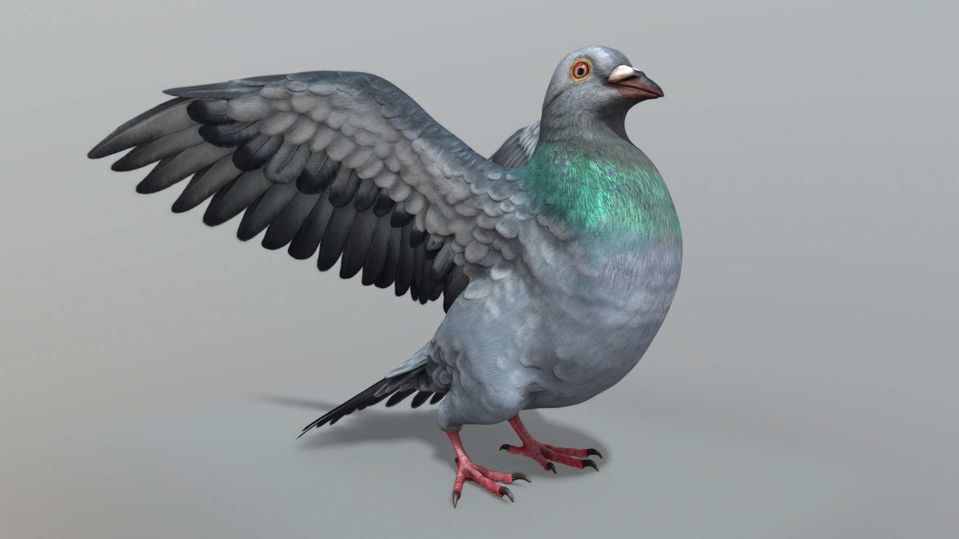 Pigeon - Buy Royalty Free 3D model by Pbr_Studio (@pbr.game.ready ...