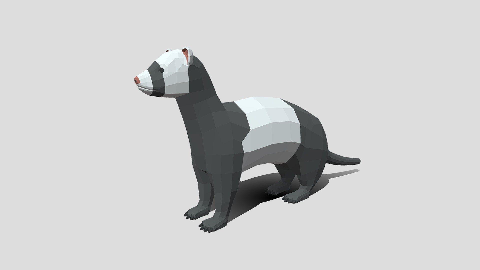 Low Poly Cartoon Ferret - Buy Royalty Free 3D model by chroma3d ...