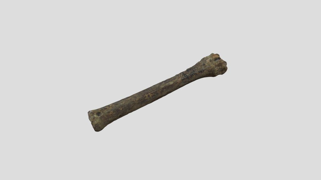 CCA - Weapons - Melee - A 3D model collection by OkamiHut - Sketchfab