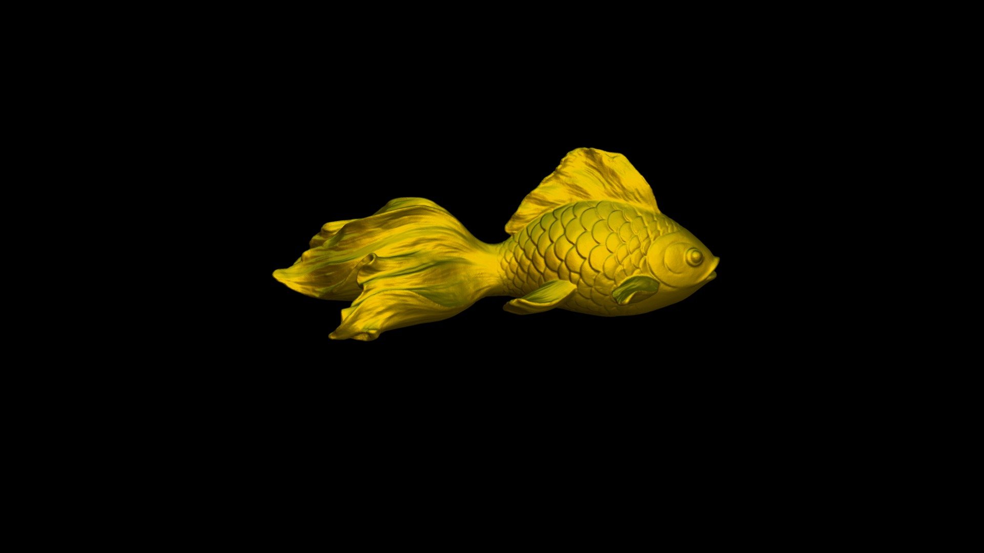 Fish - Download Free 3D model by Thunk3D 3D Scanner (@Lily.Qin1 ...