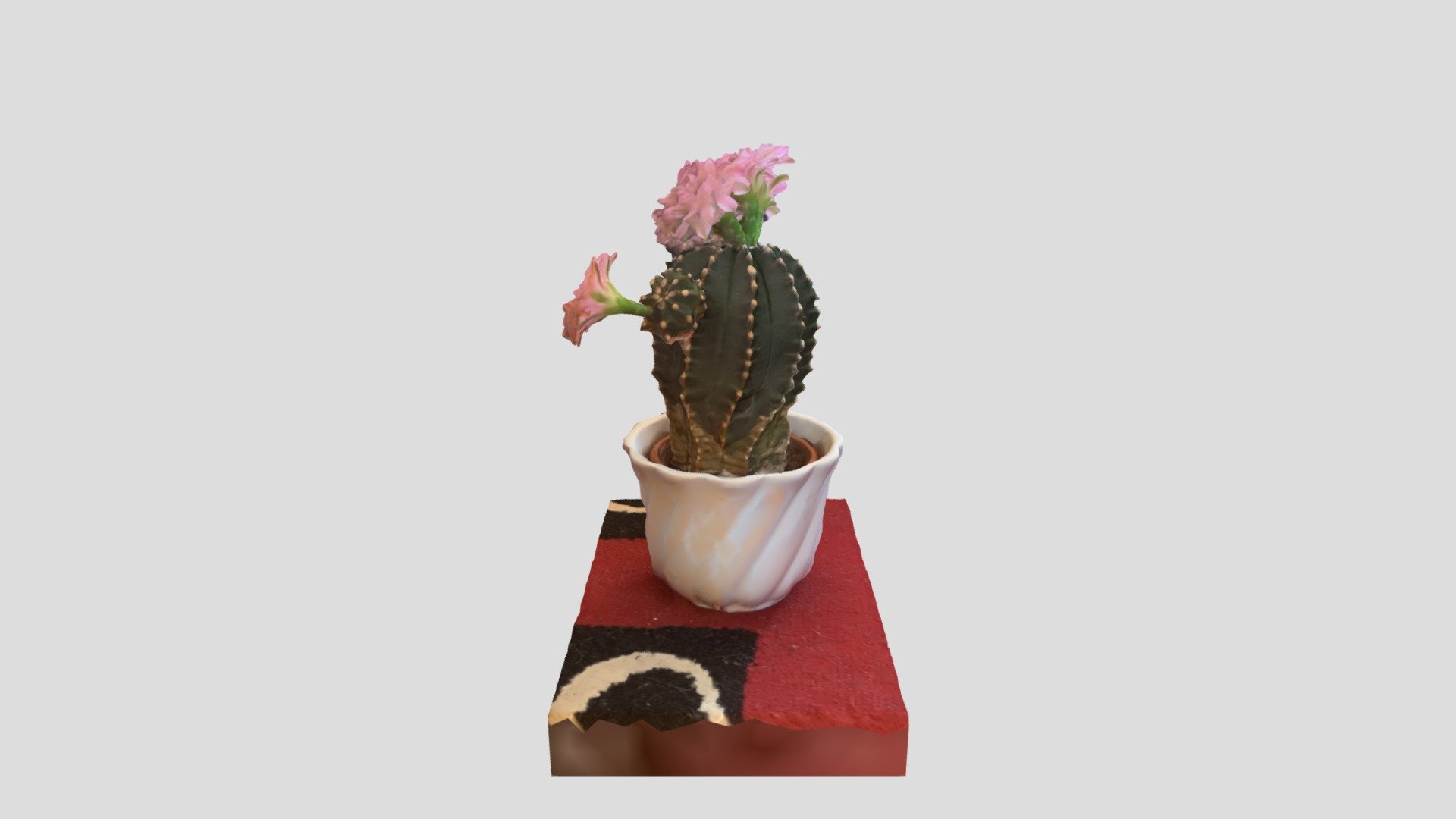 Cactus - Download Free 3D model by Patexi [2f2e219] - Sketchfab
